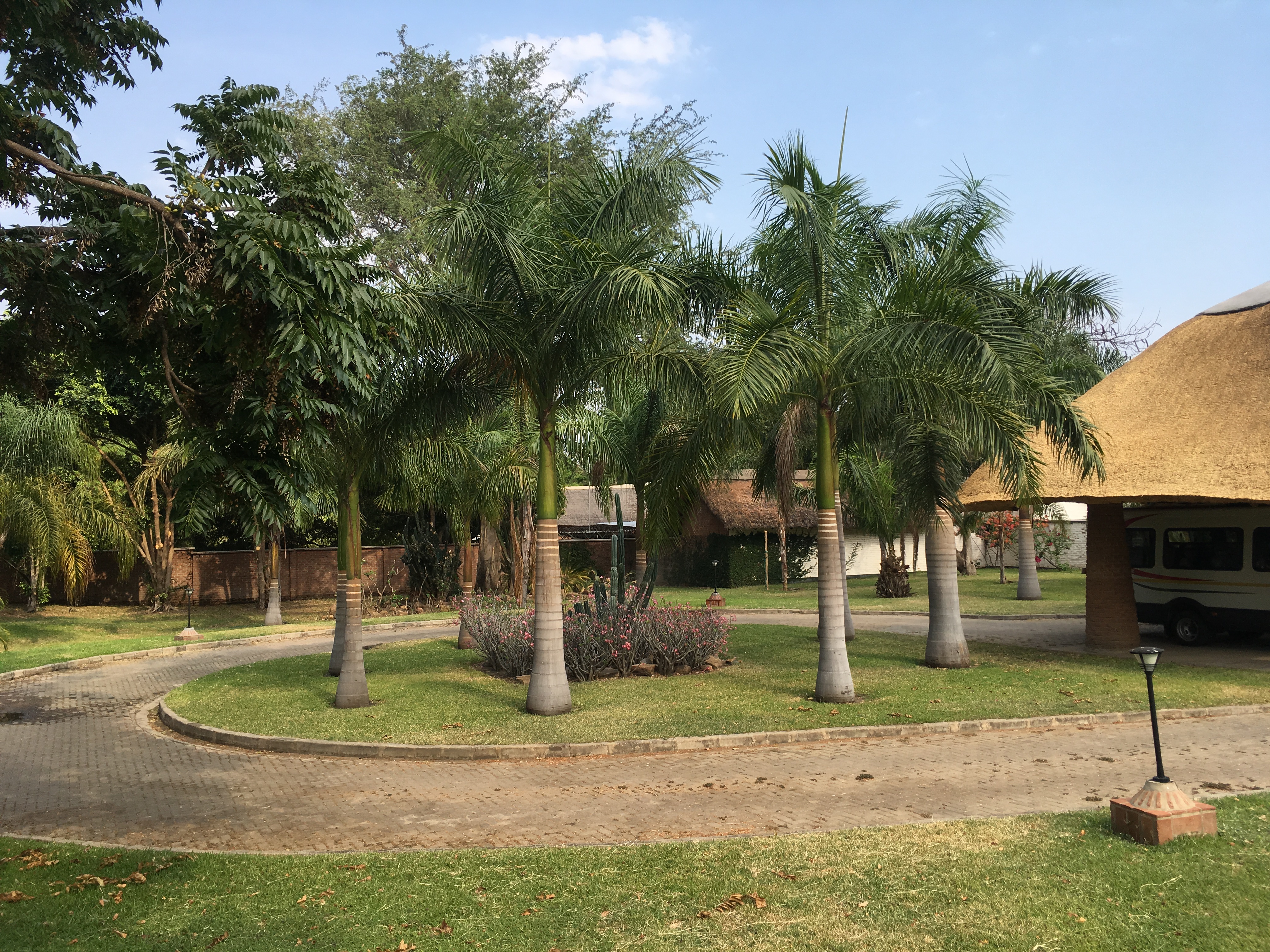 The road to Mangochi – The MalDent Project